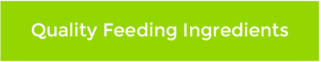 Mega Feeds | Animal feed manufacturing and distributionMega Feeds ...